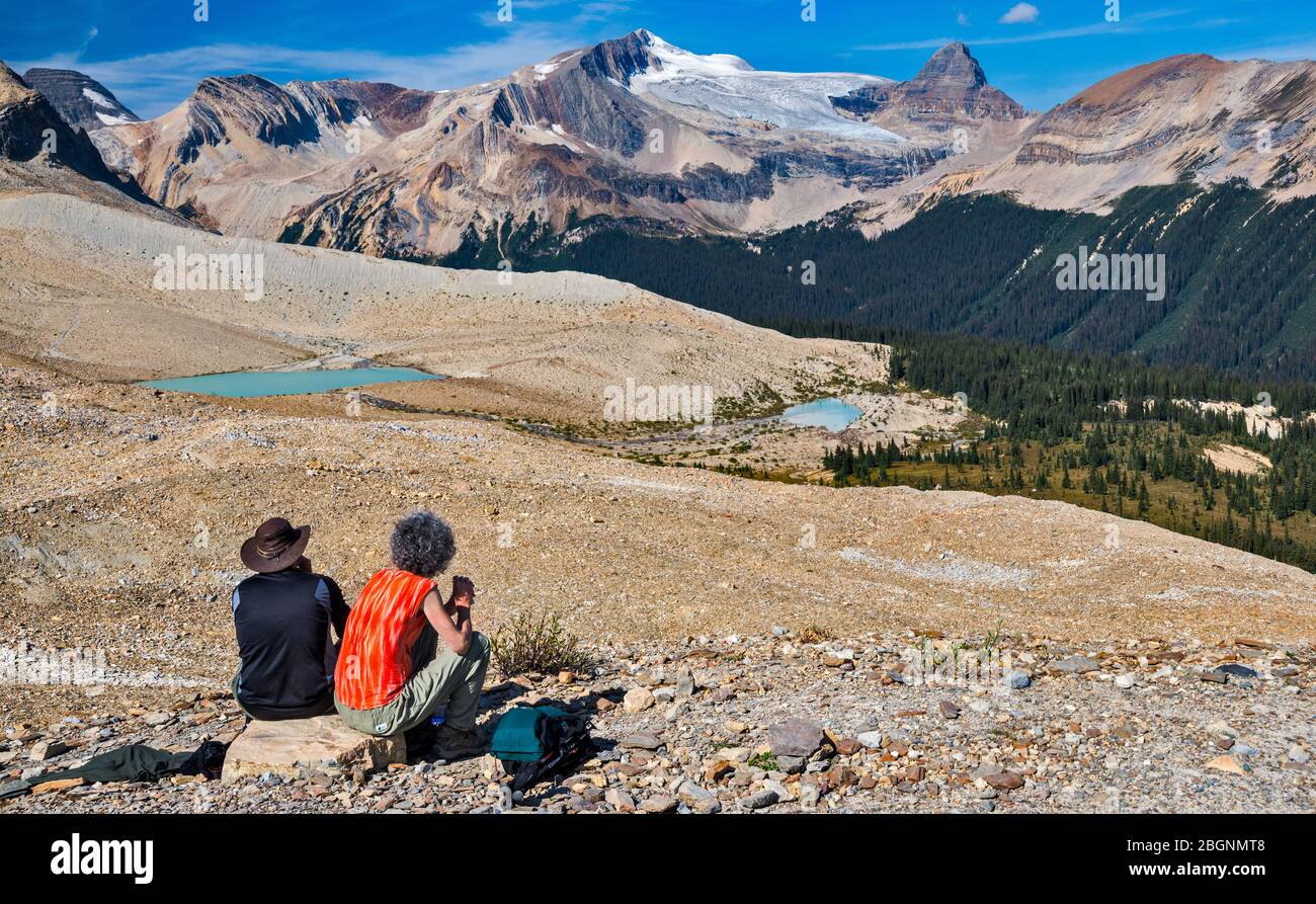 Iceline Trail in Canadian Rockies, Glacier des Poilus, Isolated Peak ...