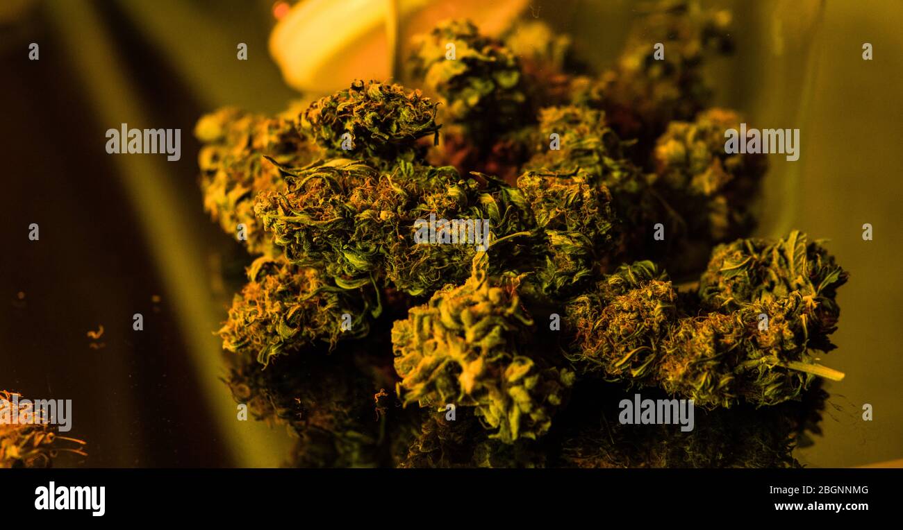 Medical Marijuana And The Legalization Of Marijuana In The World Stock