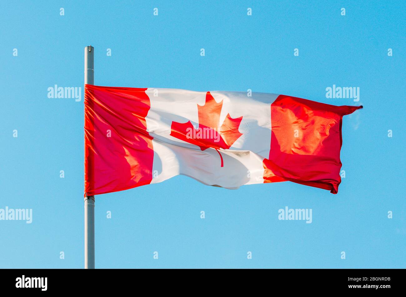 Canada waving flag illustration hi-res stock photography and images - Alamy