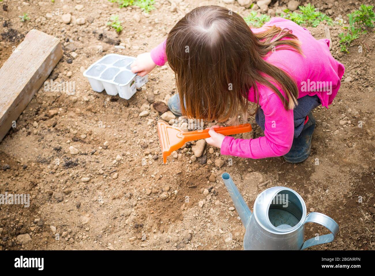 Little child girl digging the ground for placing plants in the garden ...