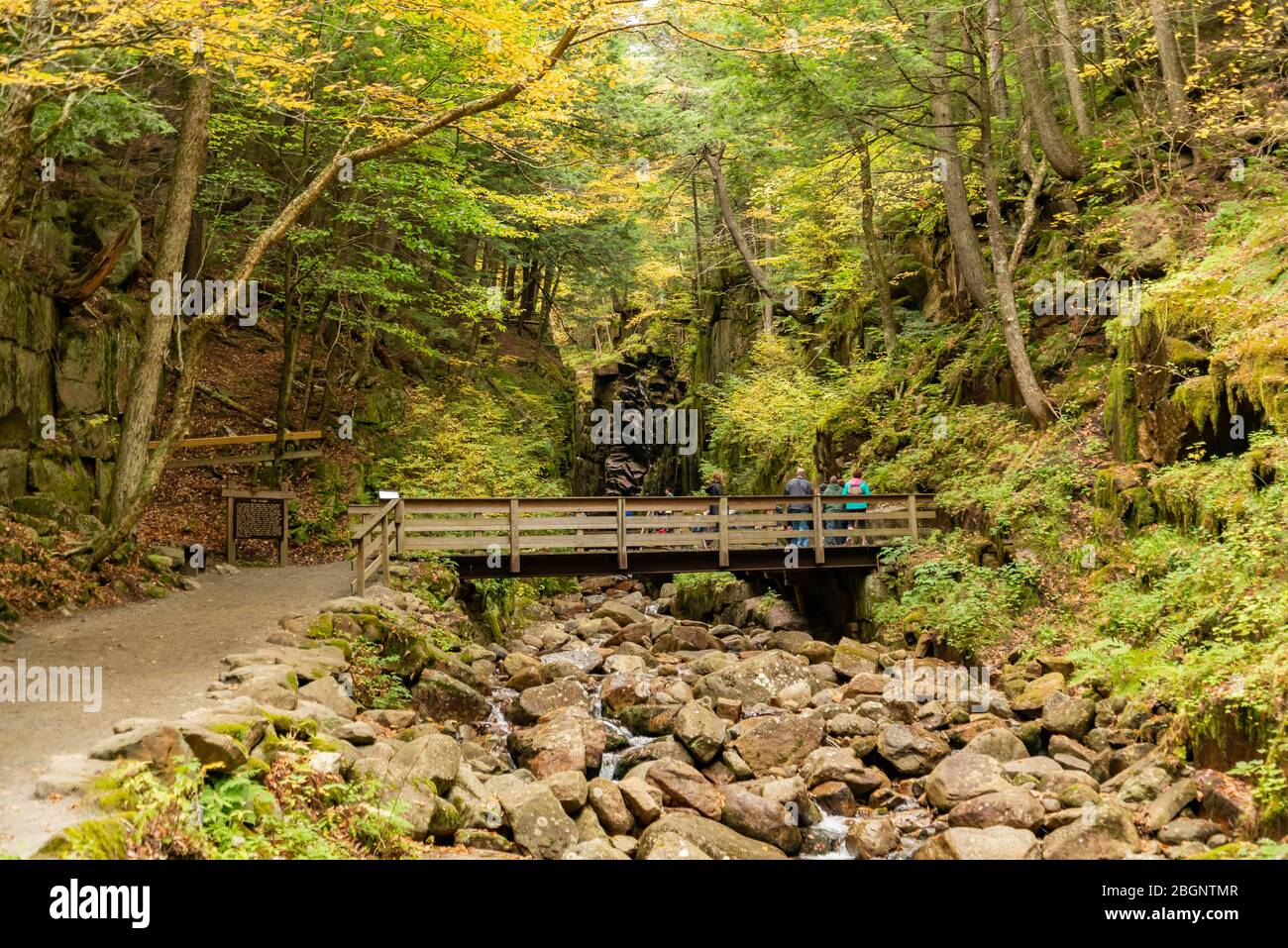 Flume gorge in Franconia Notch State Parke Stock Photo - Alamy