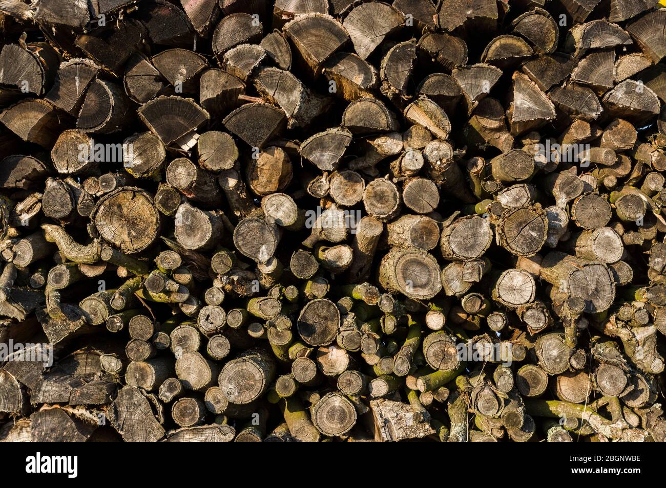 Wood stack of neatly stacked firewood and small wood to dry for ...