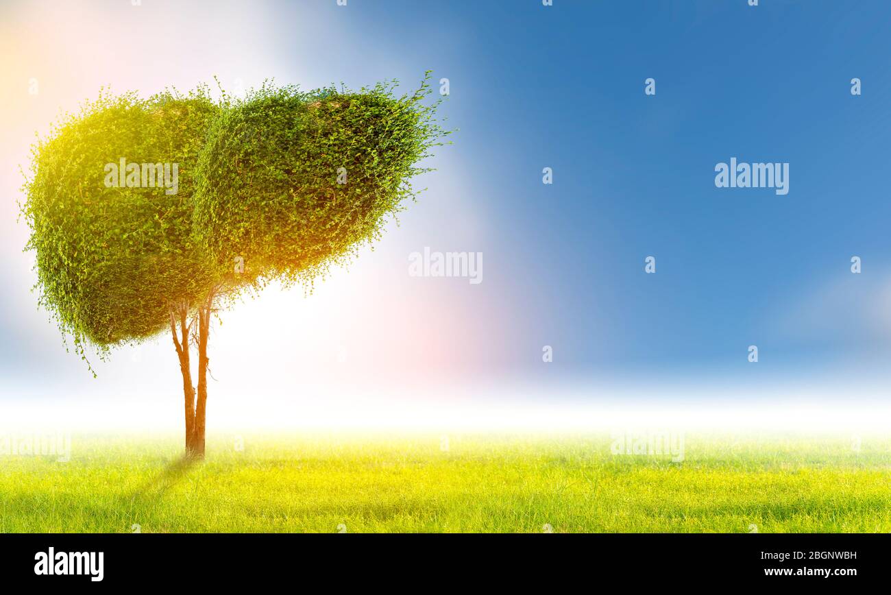 Illustration of a tree in the shape of a liver (environment and ...