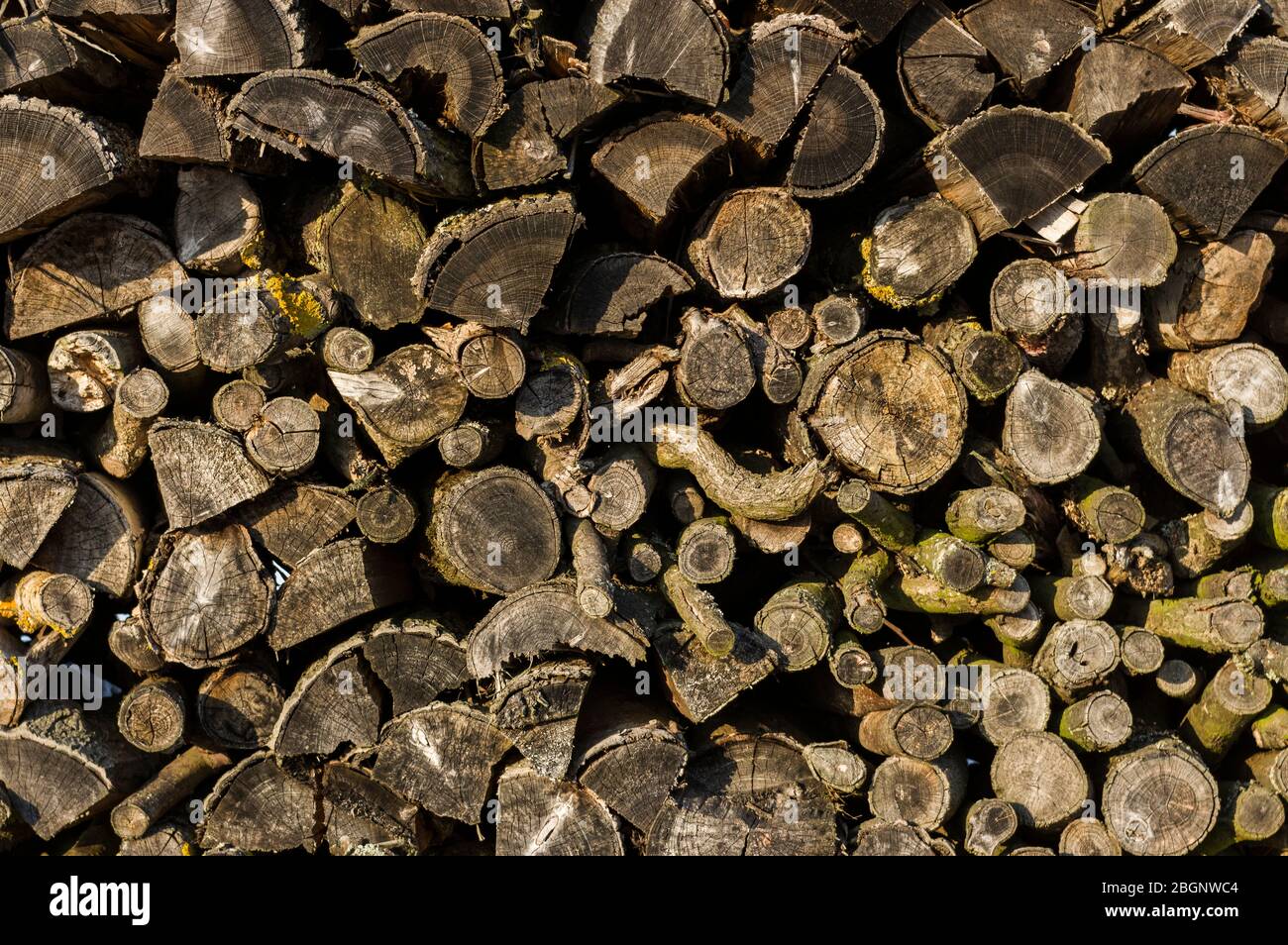 Wood stack of neatly stacked firewood and small wood to dry for ...