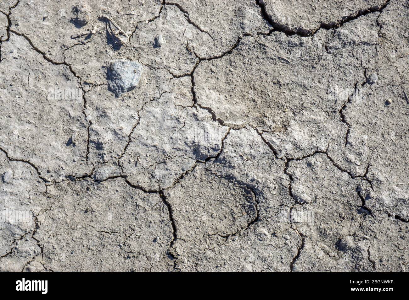 Drought, land with cracks without water, background texture, dry land ...