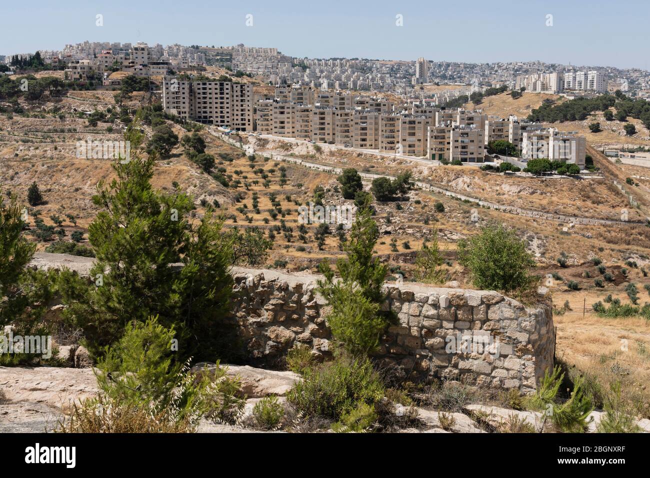 Palestine, Bethlehem, Fields in the hills around modern Bethlehem where ...