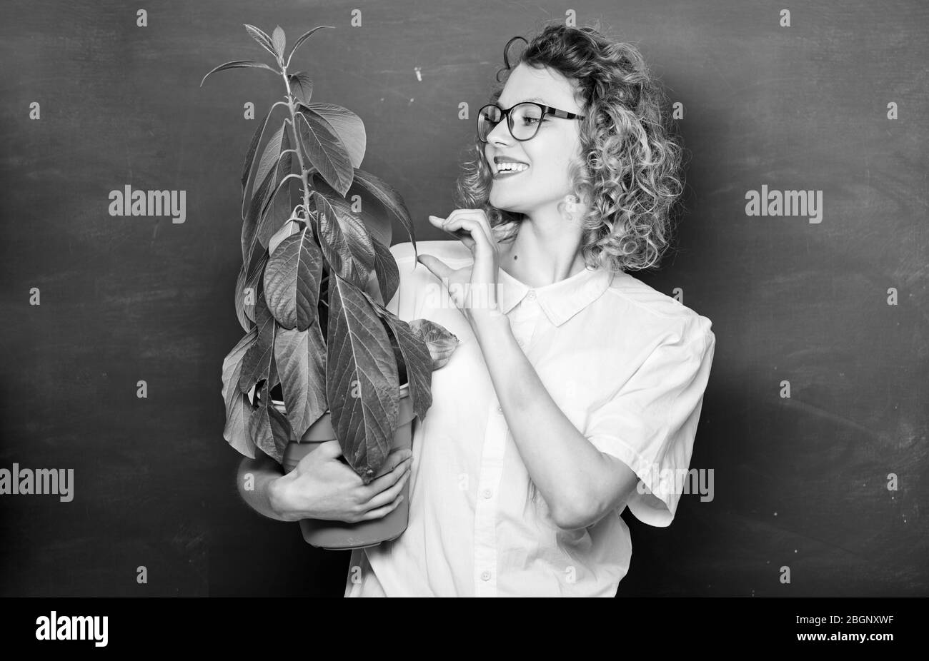 taking care of flowers. happy student girl with plant at blackboard ...