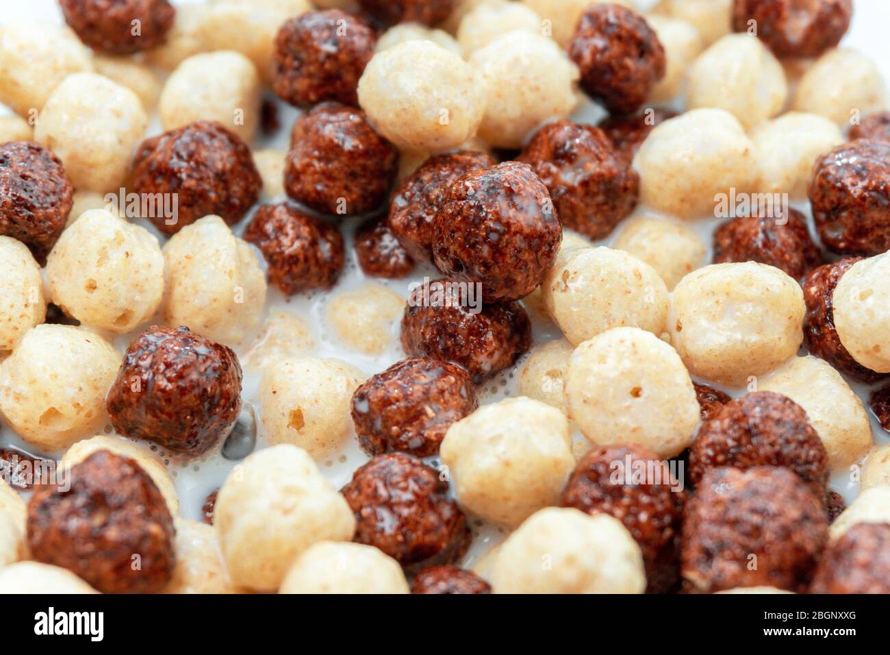 chocolate corn balls in milk for Breakfast. bowl of crispy Breakfast ...