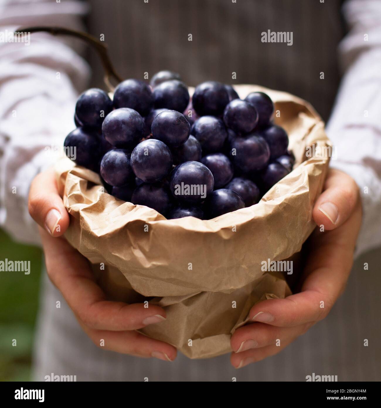 Grape waste hi-res stock photography and images - Alamy
