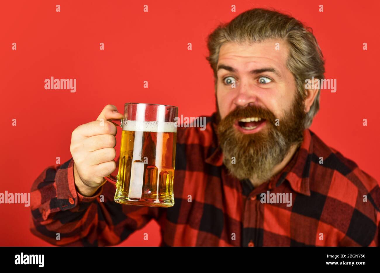 Drunk man. drink draft beer at bar counter in pub. relaxed handsome man ...