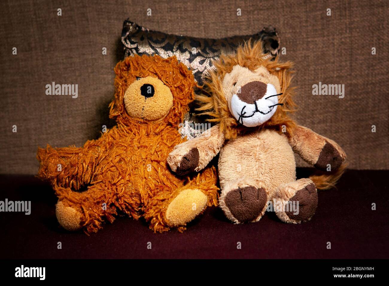 Teddybears hi-res stock photography and images - Alamy