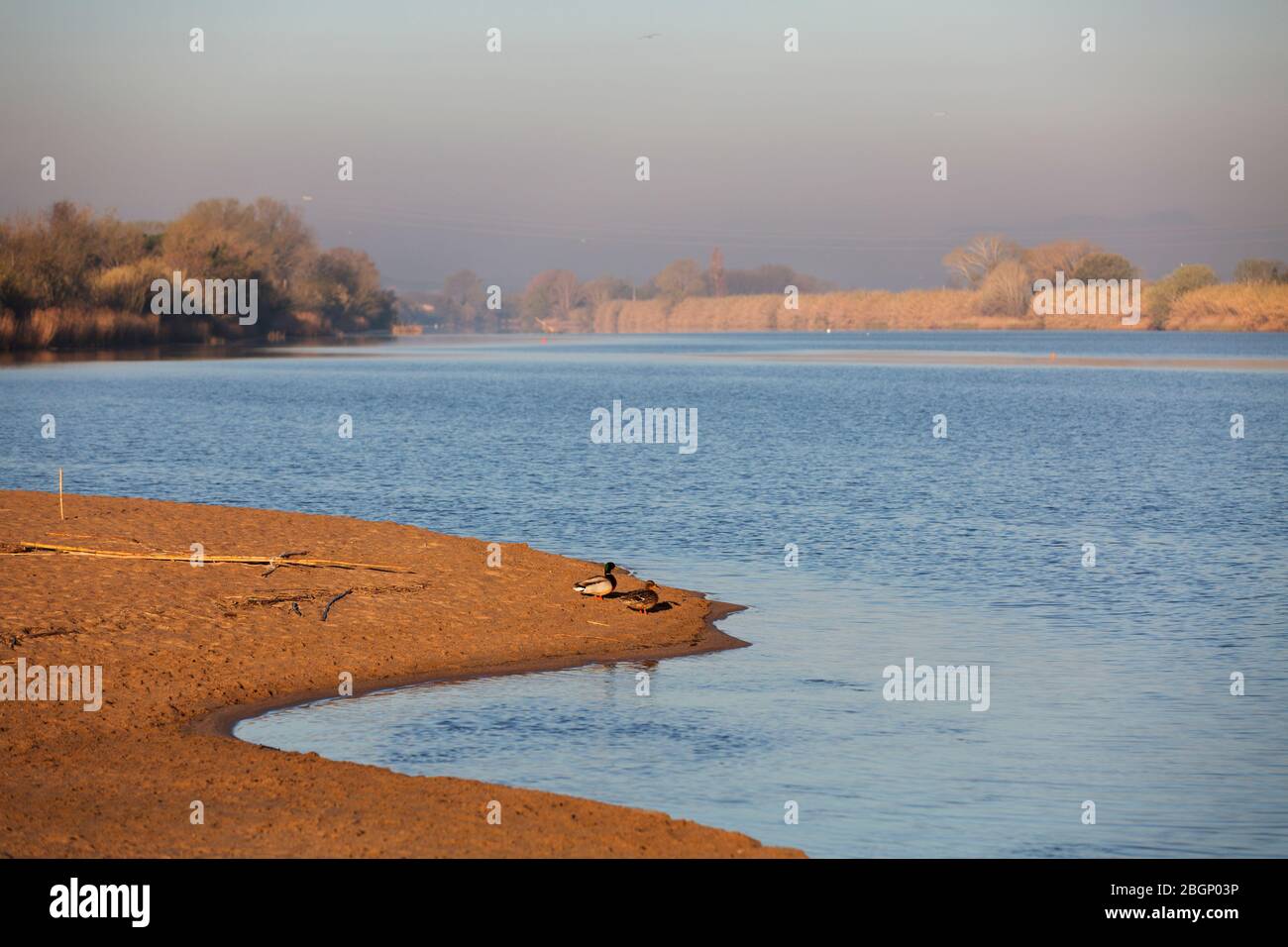 Rio ter hi-res stock photography and images - Alamy