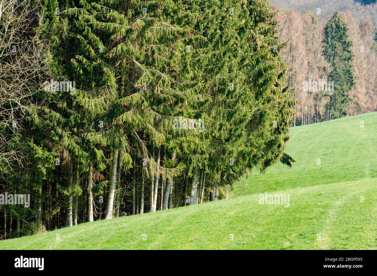 Western europe hi-res stock photography and images - Alamy