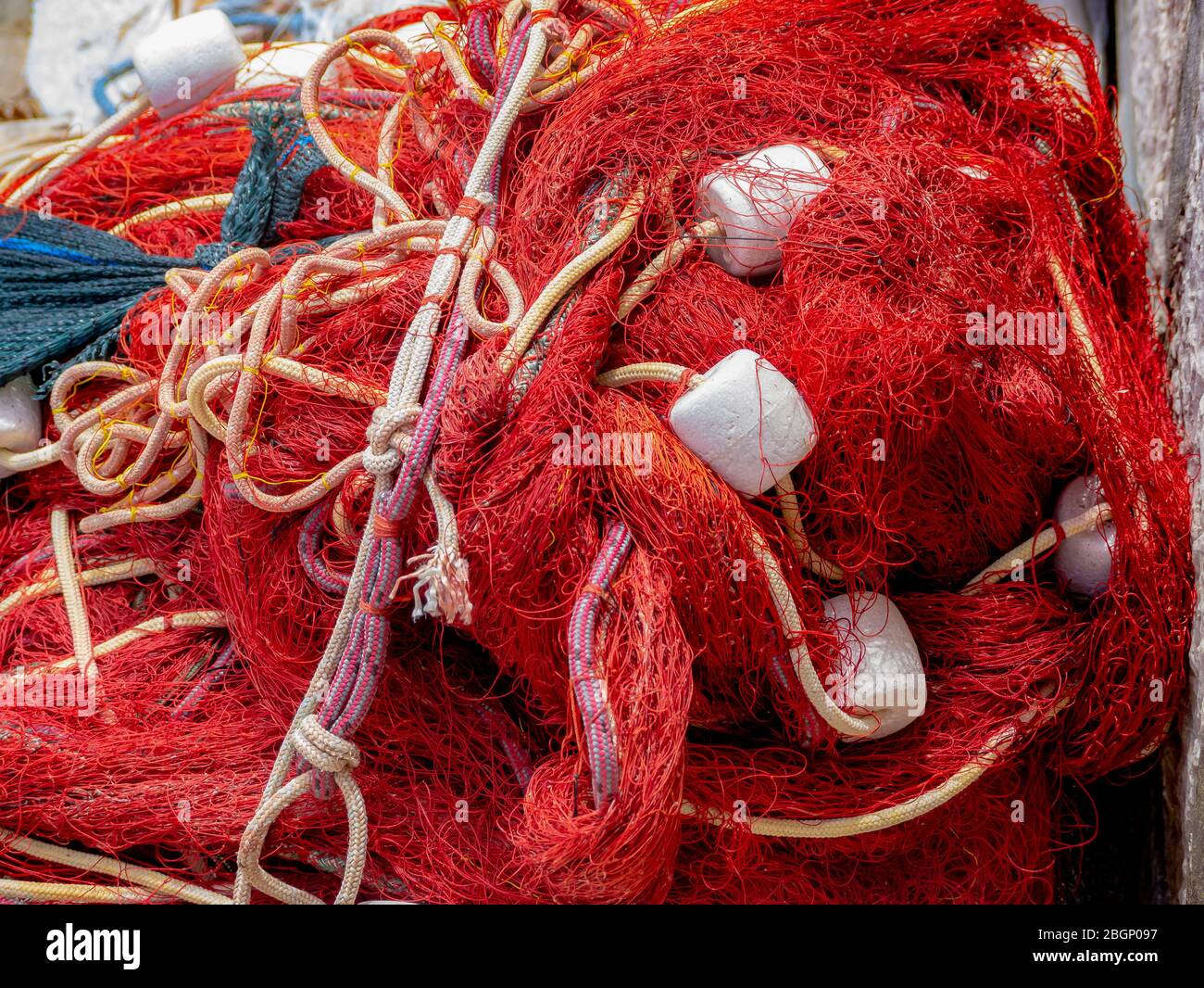 Fish inside commercial fishing net hi-res stock photography and images ...
