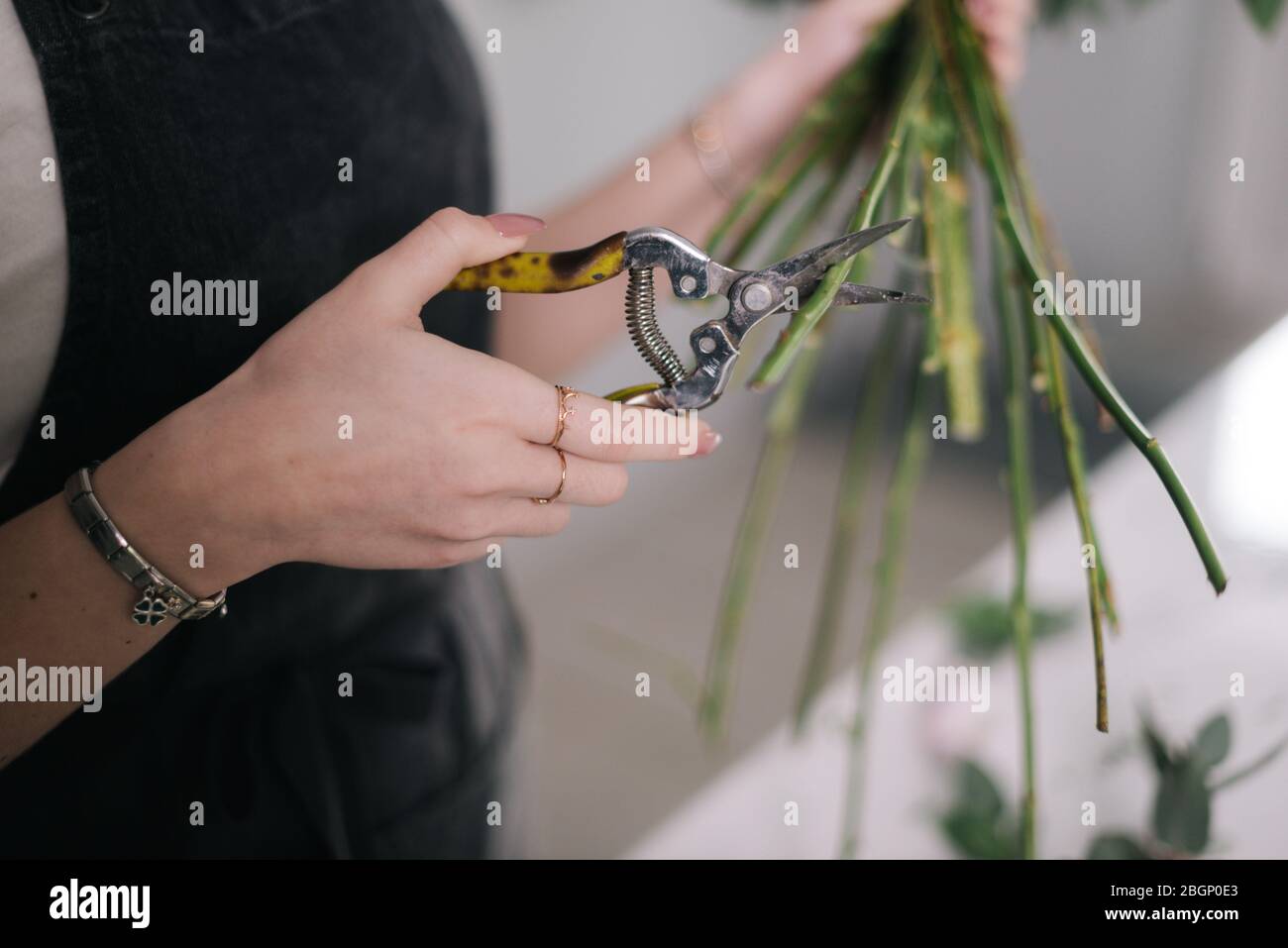 Cutting Stem High Resolution Stock Photography and Images - Alamy