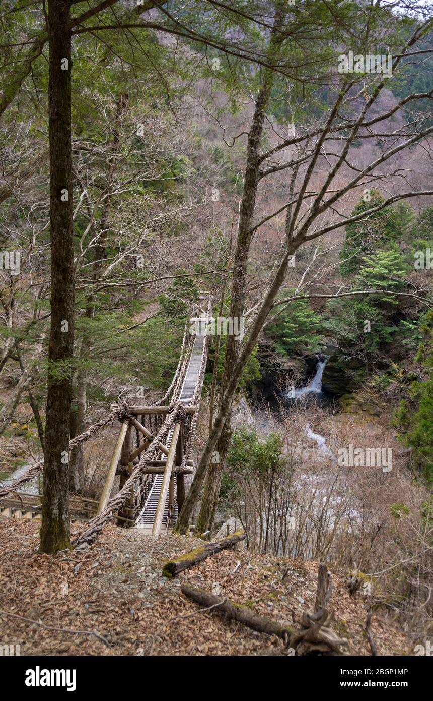 The double vine bridges called Oku-Iya Niju Kazurabashi are a popular ...