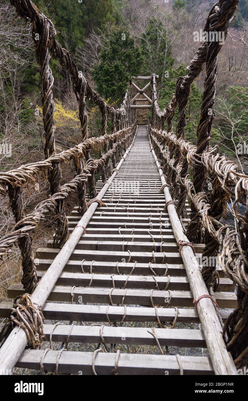 The double vine bridges called Oku-Iya Niju Kazurabashi are a popular ...