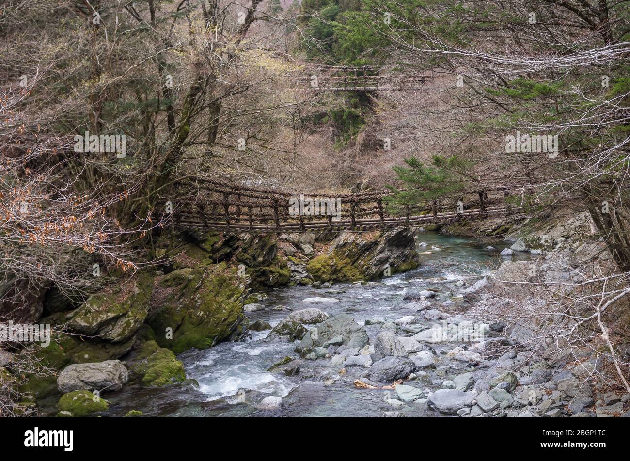 The double vine bridges called Oku-Iya Niju Kazurabashi are a popular ...