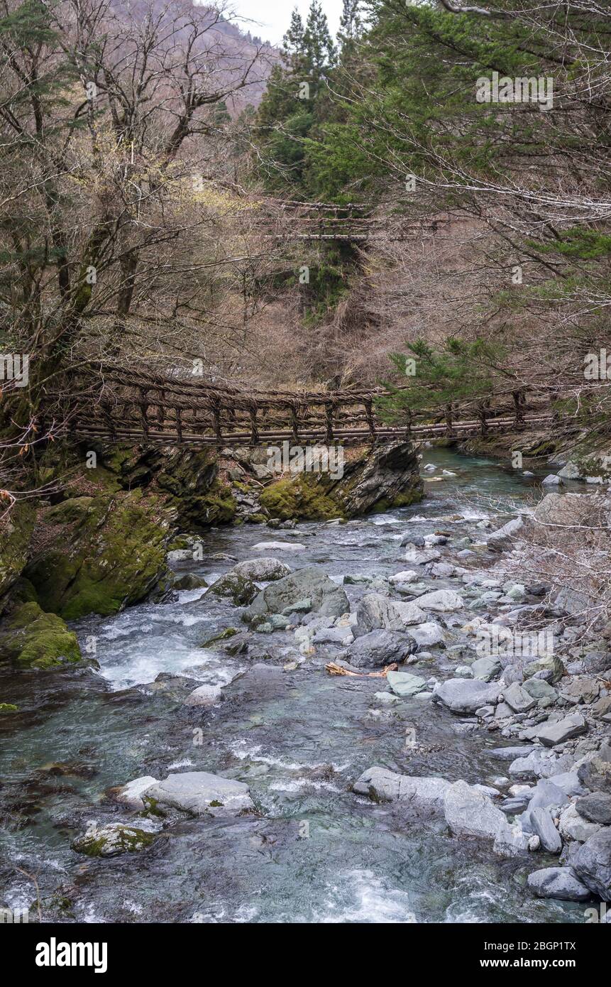 The double vine bridges called Oku-Iya Niju Kazurabashi are a popular ...