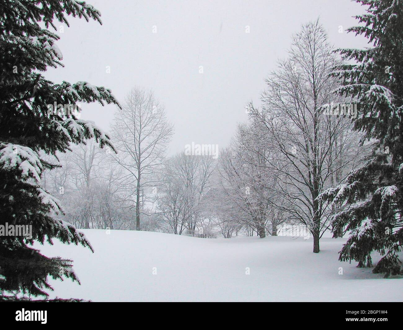 Cornell University Snow