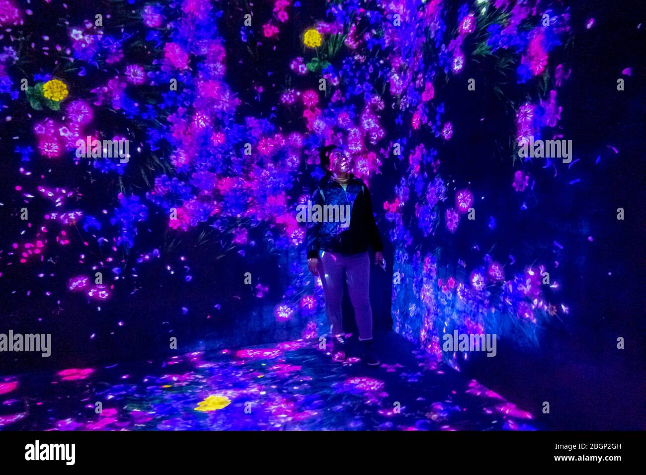 Projector and reflecting light effect art at teamLab Borderless Tokyo ...