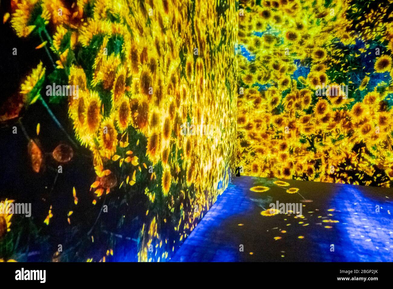 Projector and reflecting light effect art at teamLab Borderless Tokyo ...