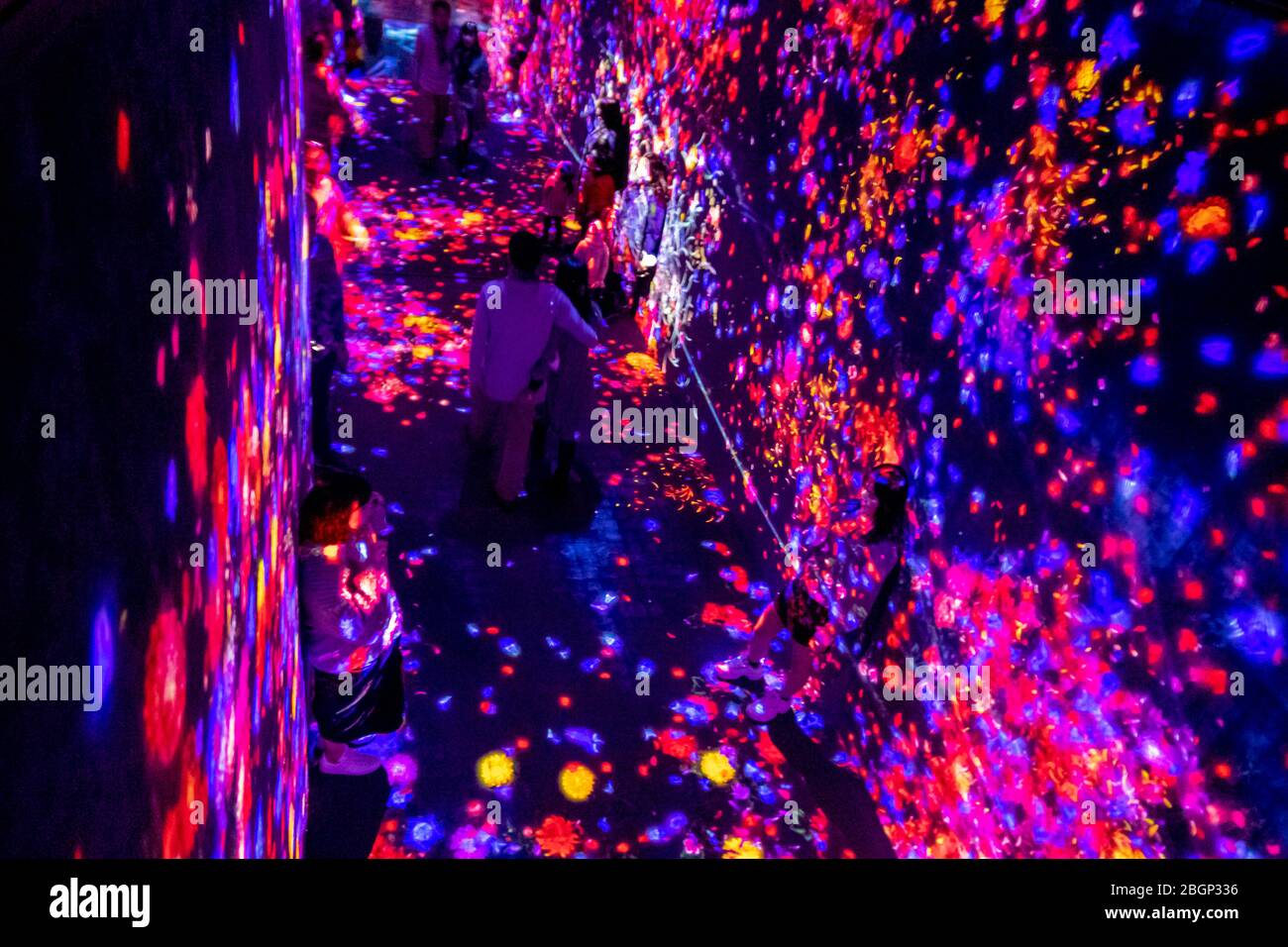 Teamlab 2020 High Resolution Stock Photography and Images - Alamy