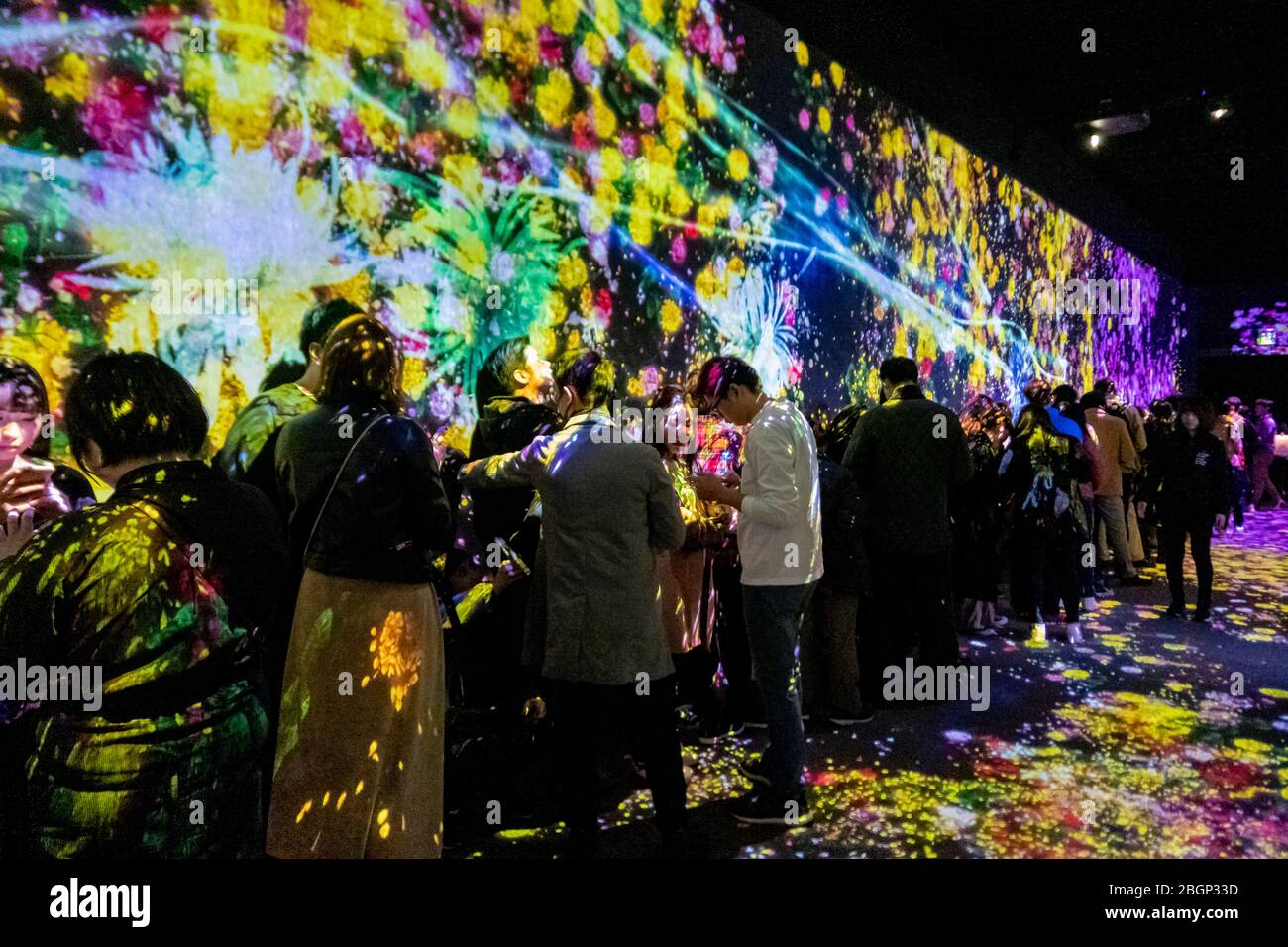 Projector and reflecting light effect art as flowers garden at teamLab ...
