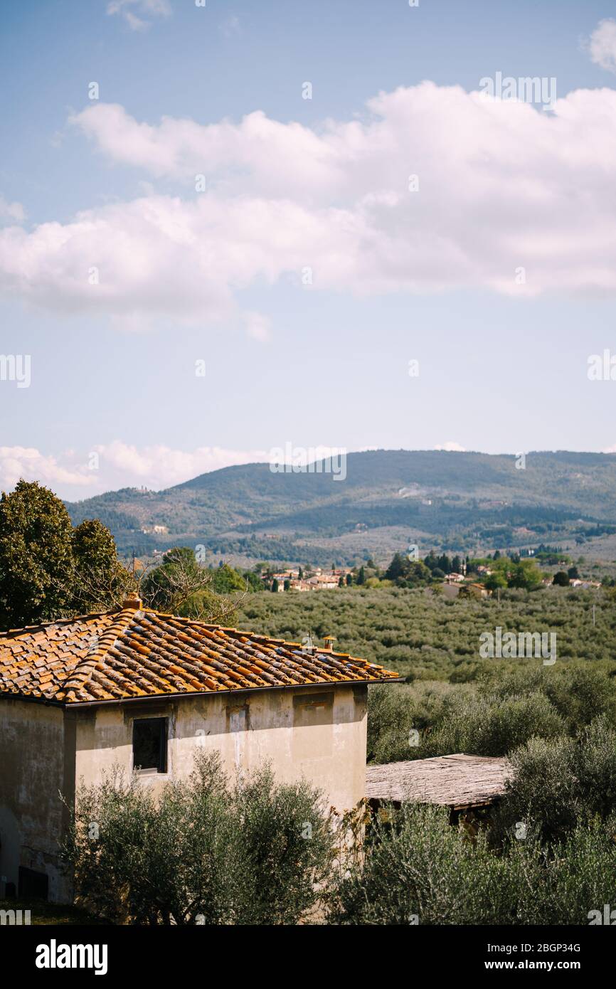 View on the olive grove and an old building from the Medici Villa of ...