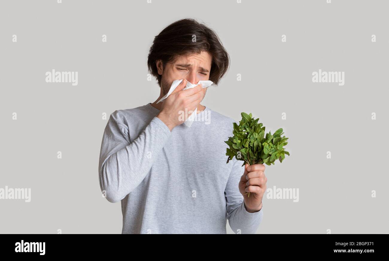 Portrait of unhealthy man with napkin, looks to source of allergy Stock ...