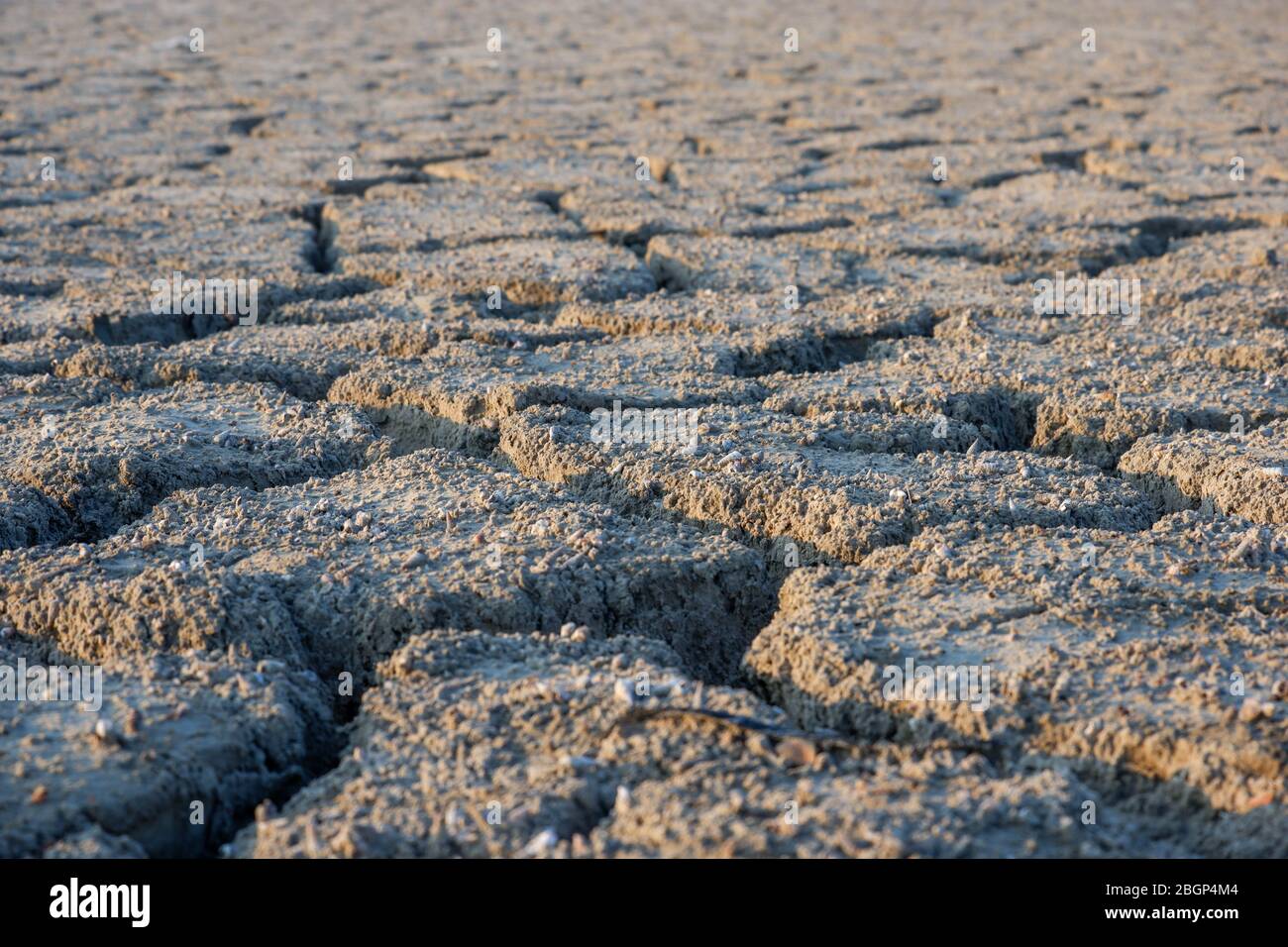 The ground is dry from bad weather Stock Photo - Alamy