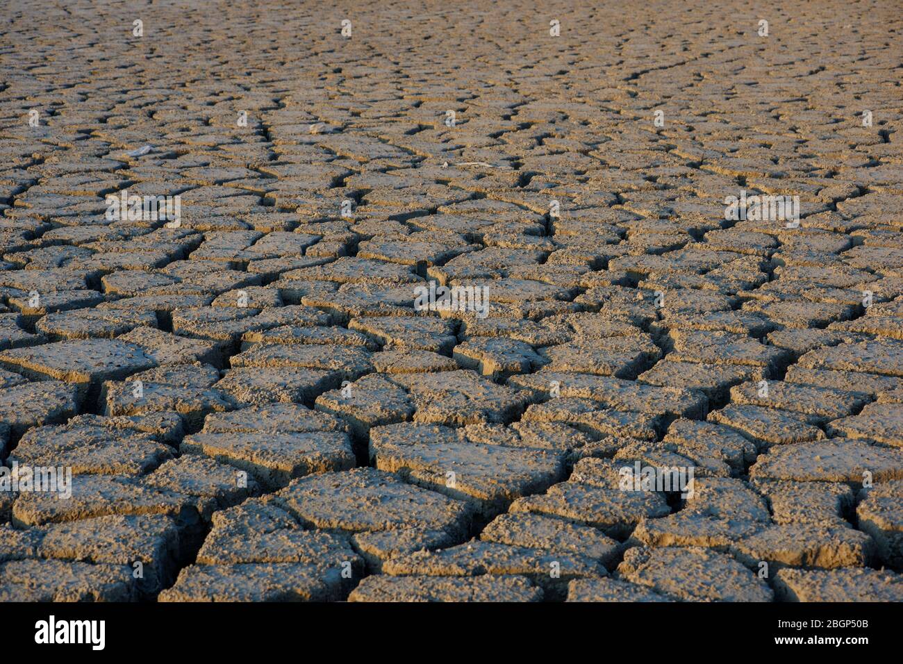 Dry land and toxic water hi-res stock photography and images - Alamy