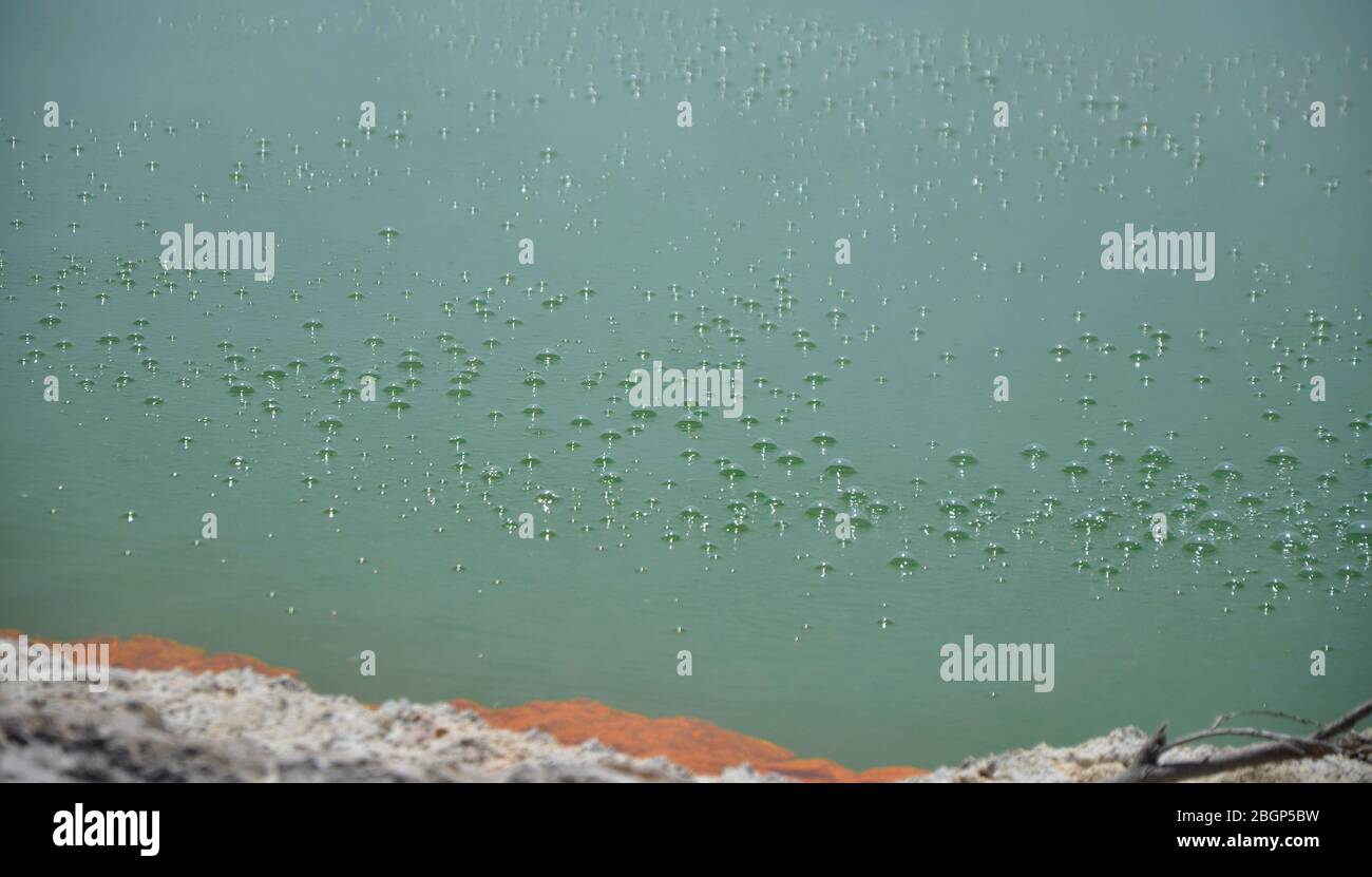 Bubbles on water surface at hot spring champagne pool Wai-O-Tapu New ...