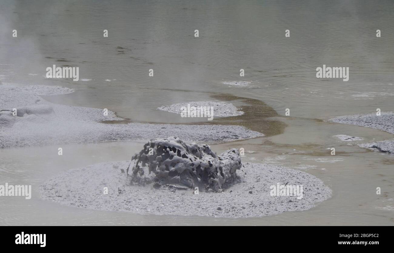 Mud bubbles from volcanic eruption at Mud Pool Wai-O-Tapu New Zealand ...