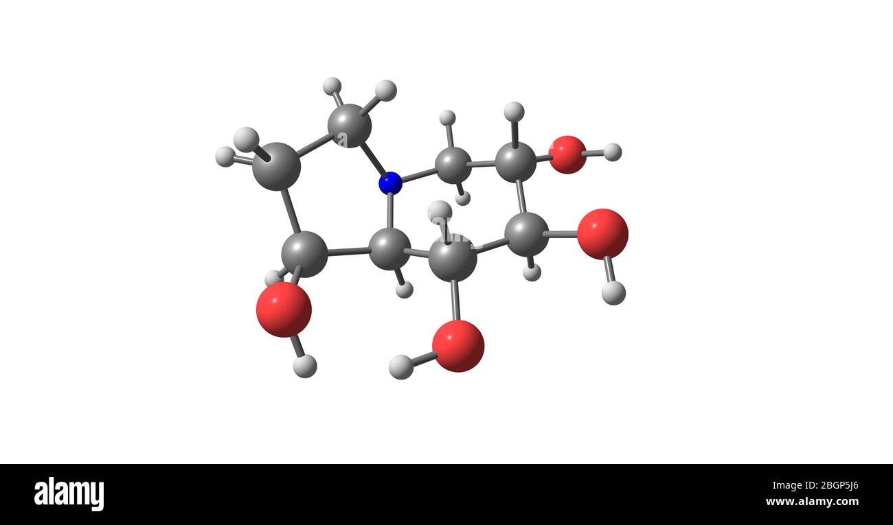 Castanospermine is an indolizidine alkaloid. It is a potent inhibitor ...