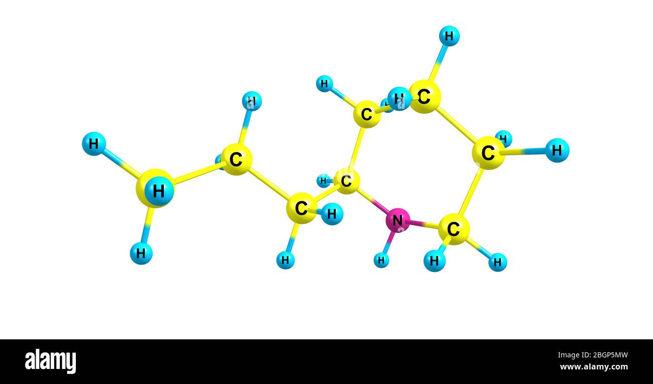 Coniine molecular hi-res stock photography and images - Alamy