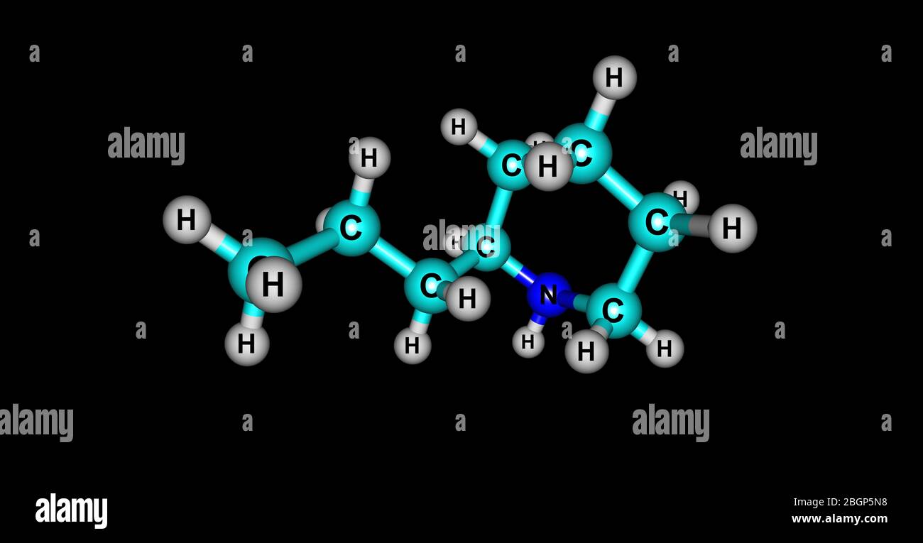Coniine molecular hi-res stock photography and images - Alamy