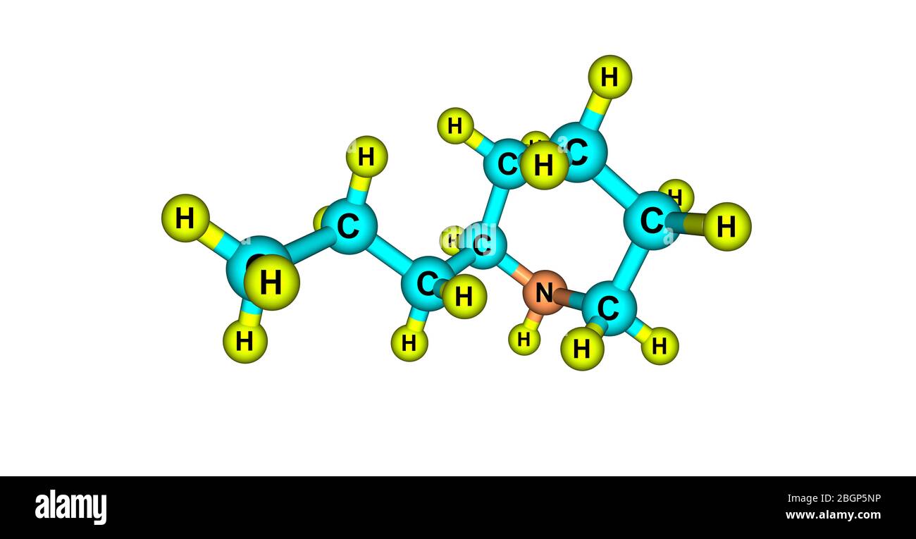 Coniine molecular hi-res stock photography and images - Alamy