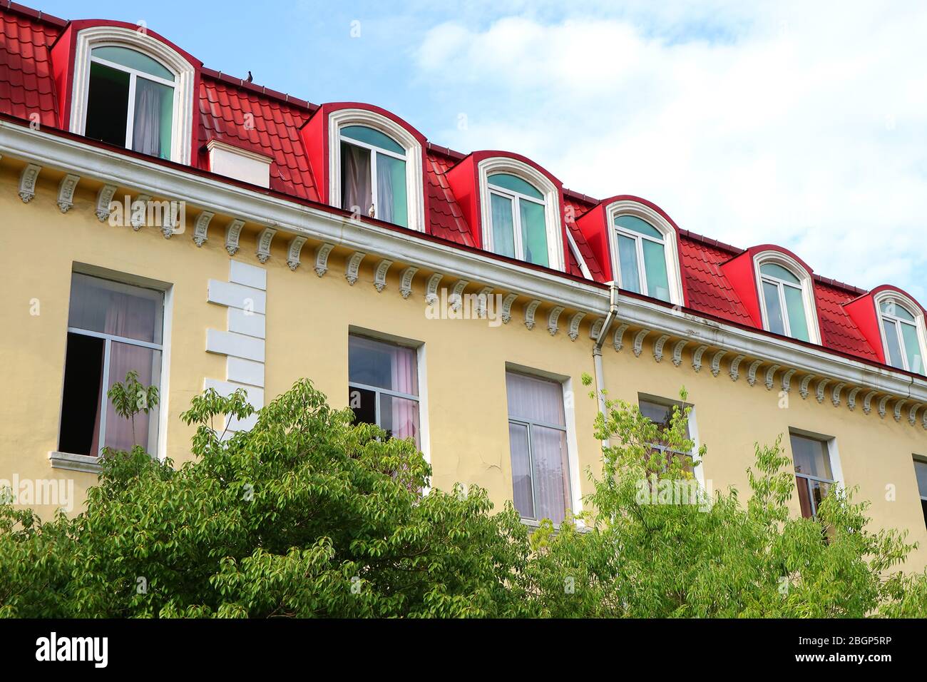 Glass curtain wall bird hi-res stock photography and images - Alamy