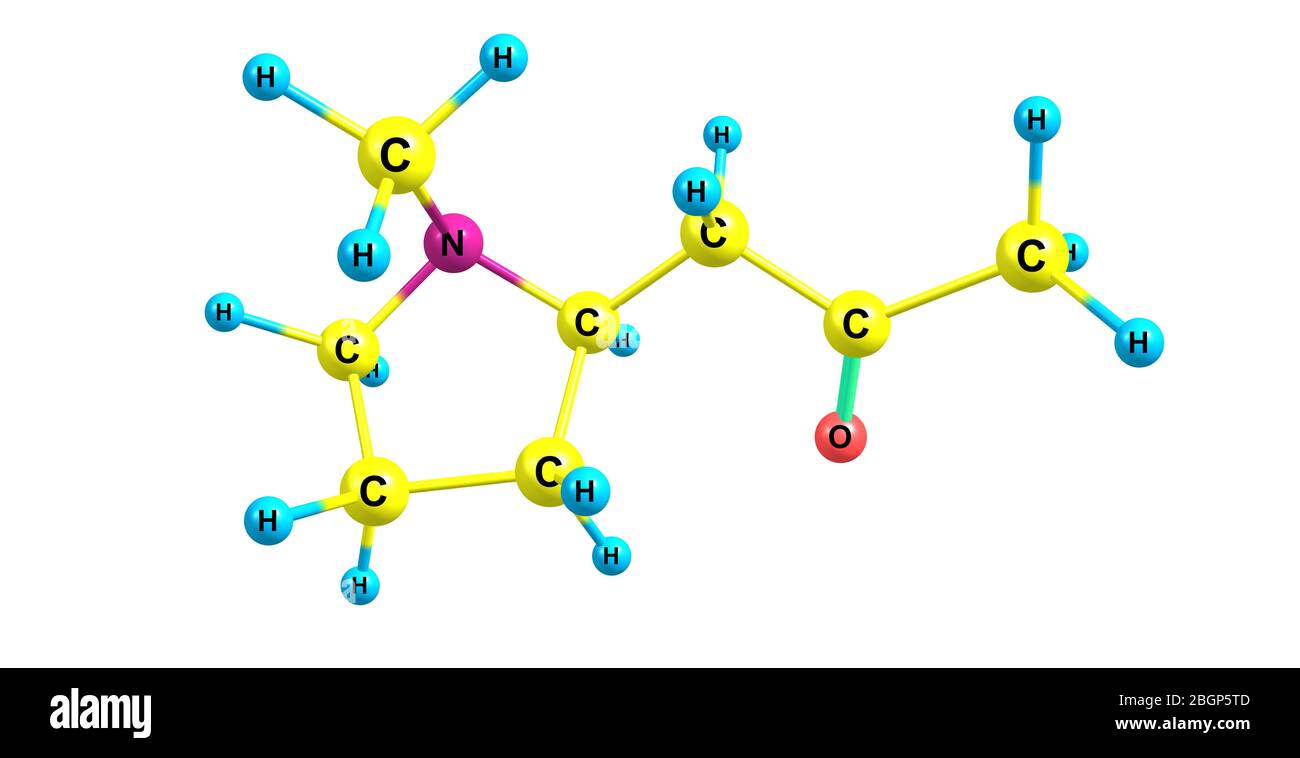 Pyrrolidine alkaloid hi-res stock photography and images - Alamy
