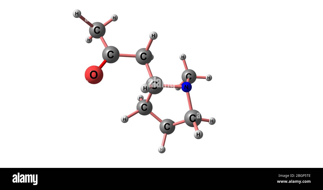 Hygrine is a pyrrolidine alkaloid found in coca. Hygrine usually occurs ...
