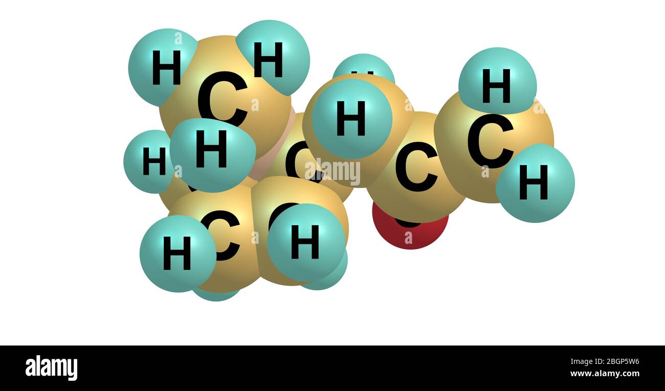 Hygrine is a pyrrolidine alkaloid found in coca. Hygrine usually occurs ...