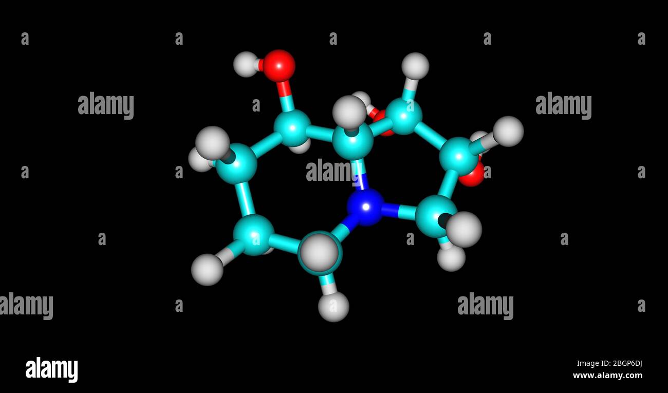 Swainsonine is an indolizidine alkaloid. It is a potent inhibitor of ...