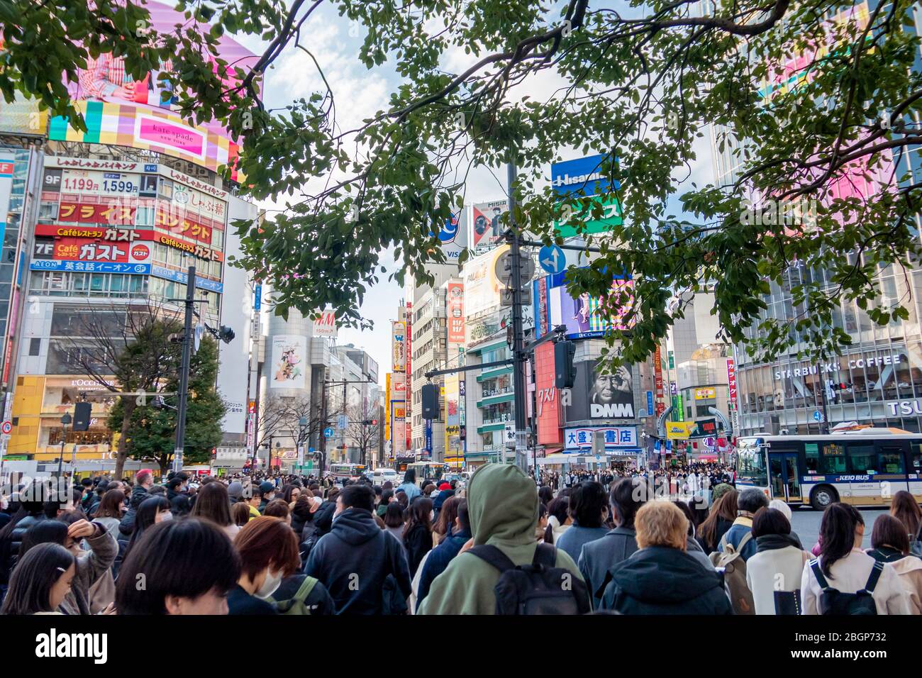 Japanese Screens High Resolution Stock Photography and Images - Alamy