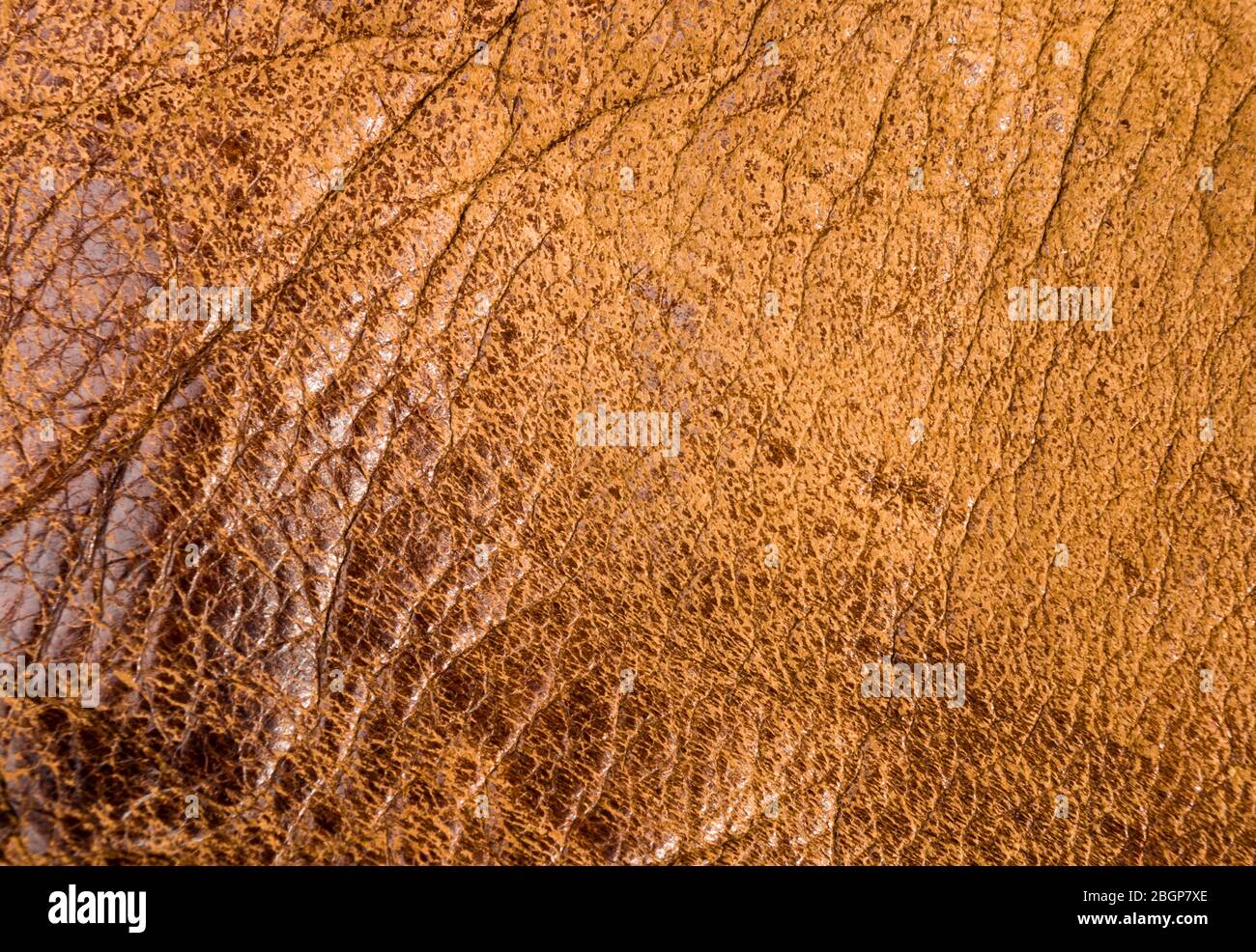 Old vintage genuine soft brown leather texture background, top layer ...