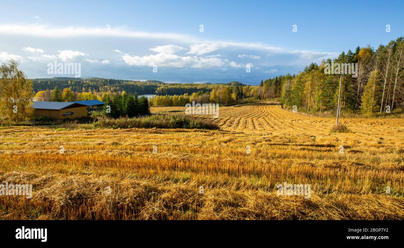 Agriculture finland hi-res stock photography and images - Alamy