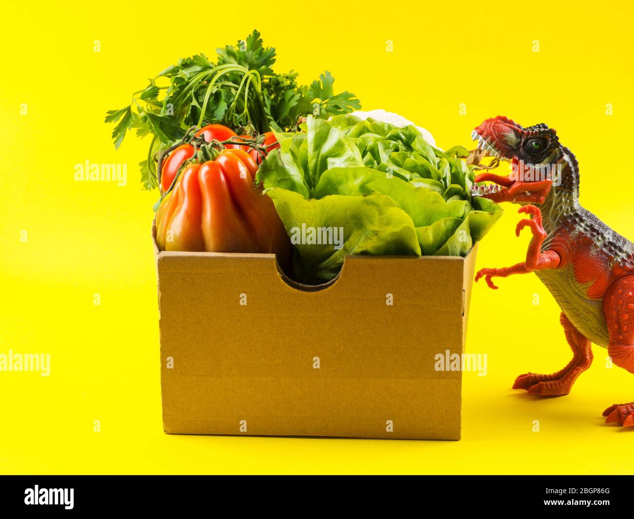 Angry dinosaur hi-res stock photography and images - Alamy