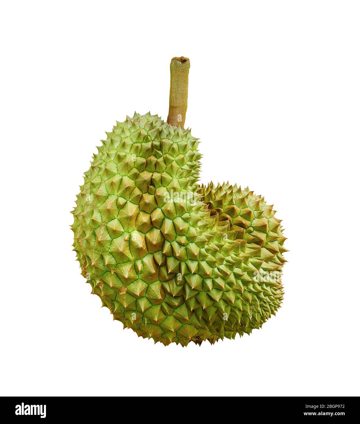 Durian Isolated on white background Stock Photo - Alamy