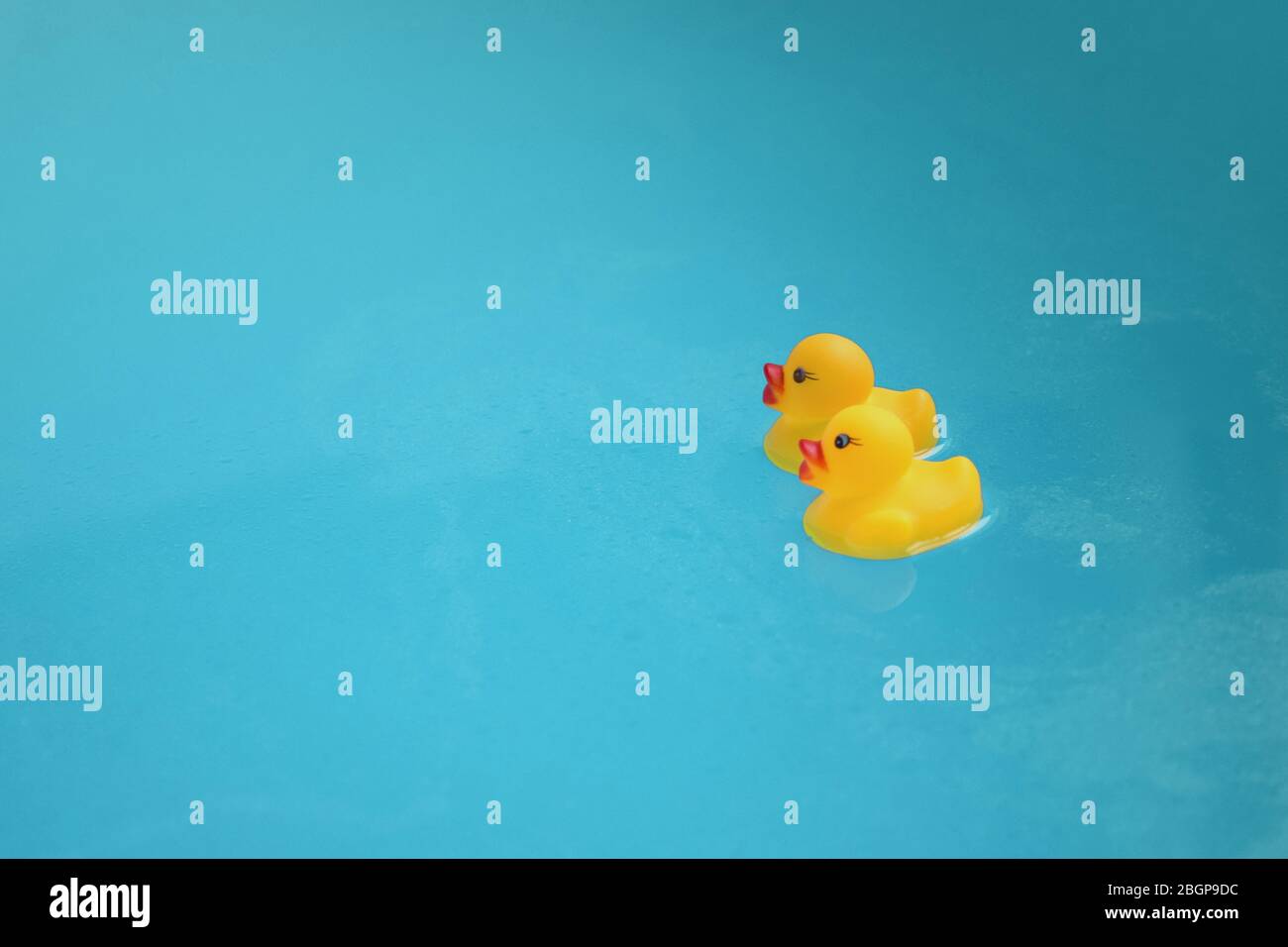 Scrub bird bath hi-res stock photography and images - Alamy