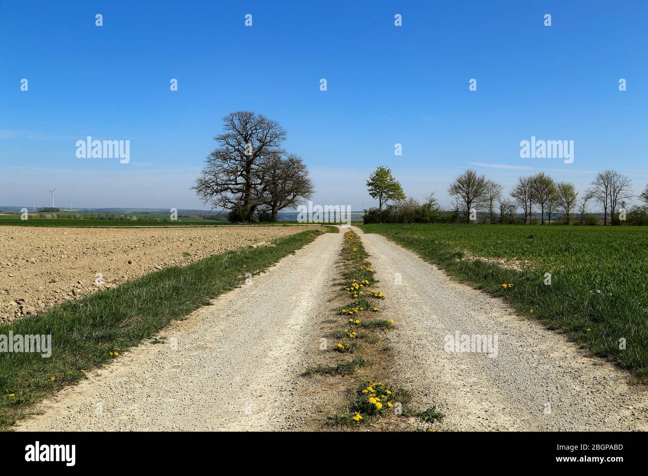 Spring landscape with green fields and meadows Stock Photo - Alamy